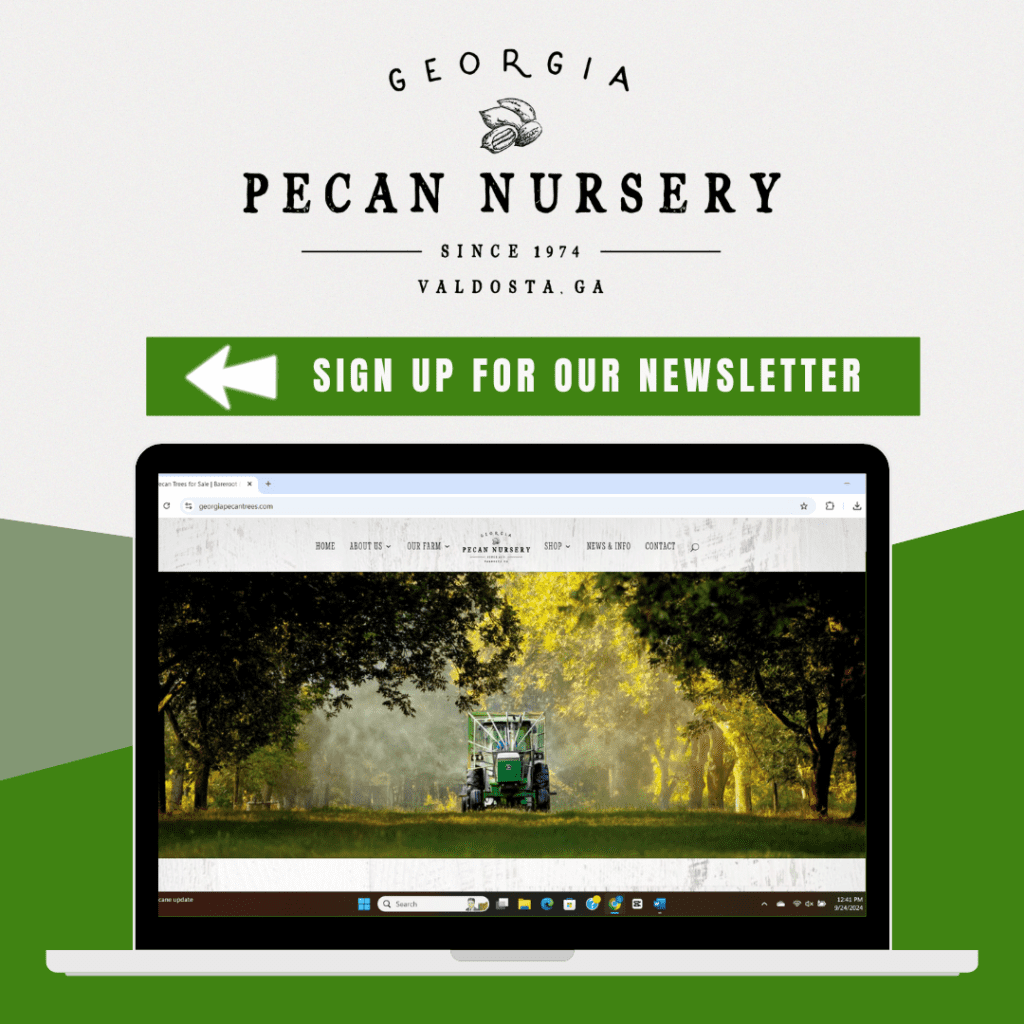 Pecan Tree Nursery | Georgia Pecan Trees for Sale